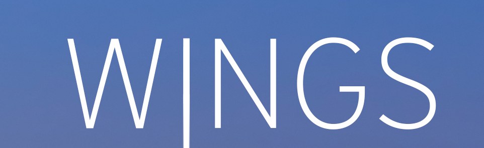 WINGS Speaker Series: Inspiring Interview featuring Jennifer Duffer ...